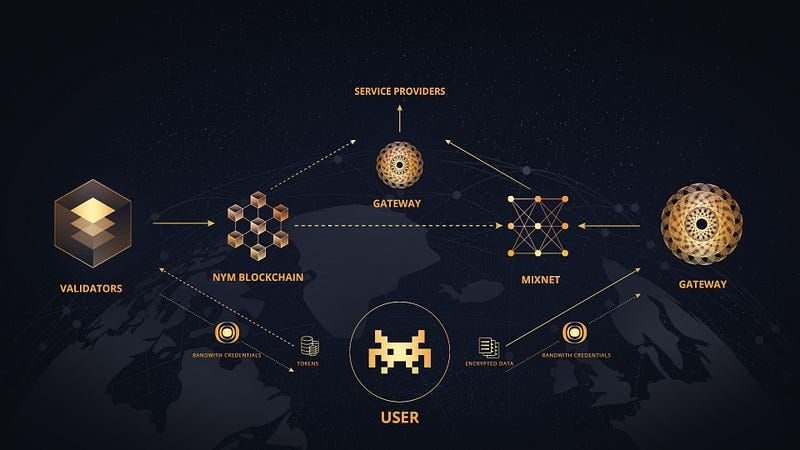 An overview of Nym network actors | Nym